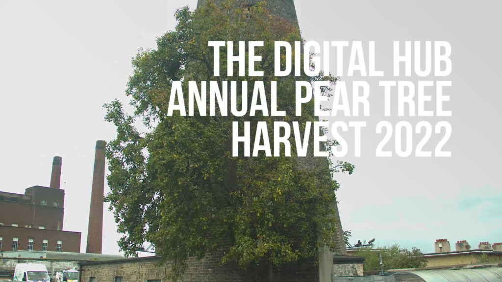 Video Production - Irelands Oldest Fruit Bearing Tree | Juvo Digital